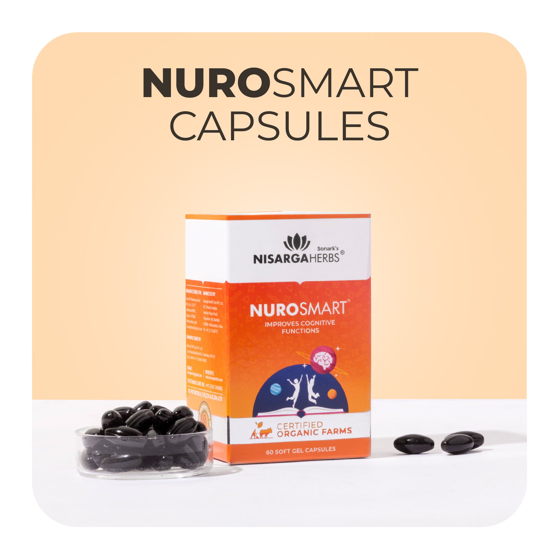 Best Ayurvedic Medicine for Memory and Concentration | Nurosmart ...